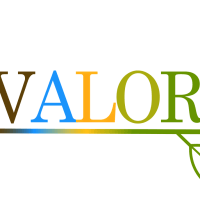 Project Description – VALOR