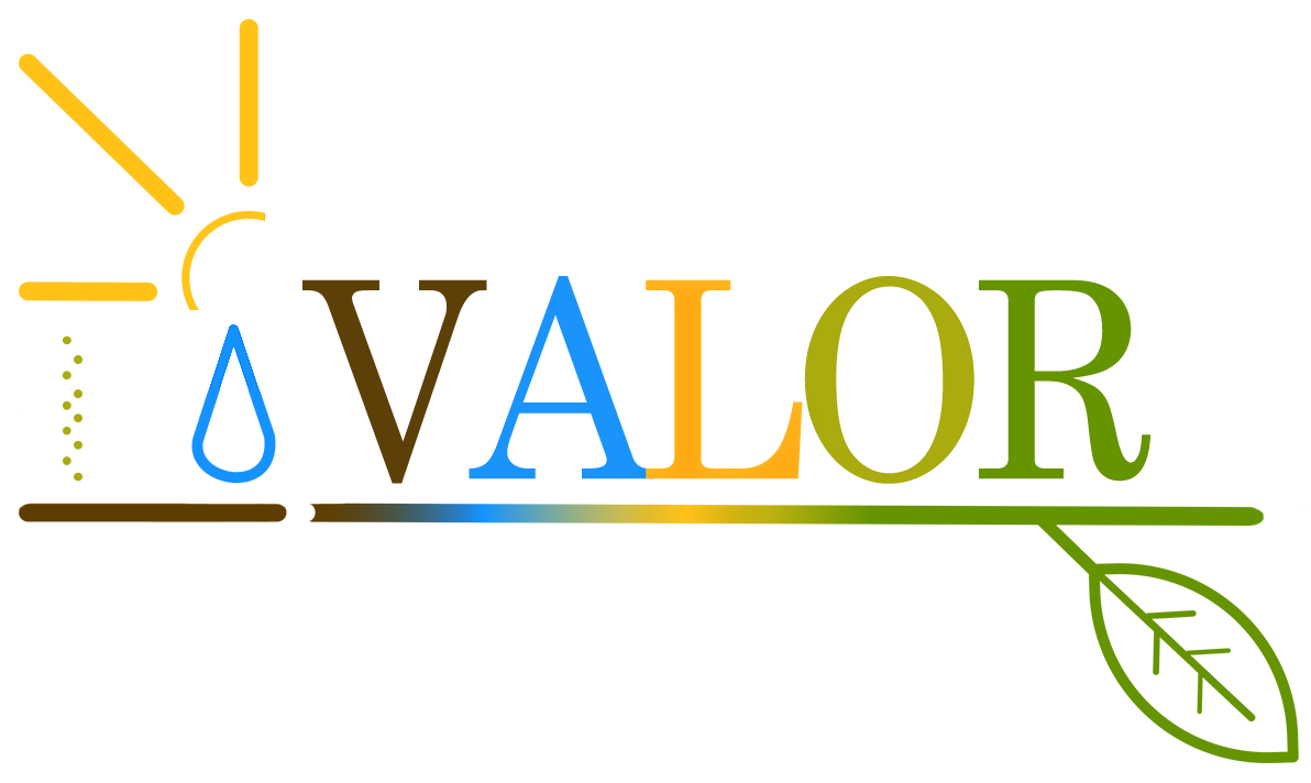 VALOR